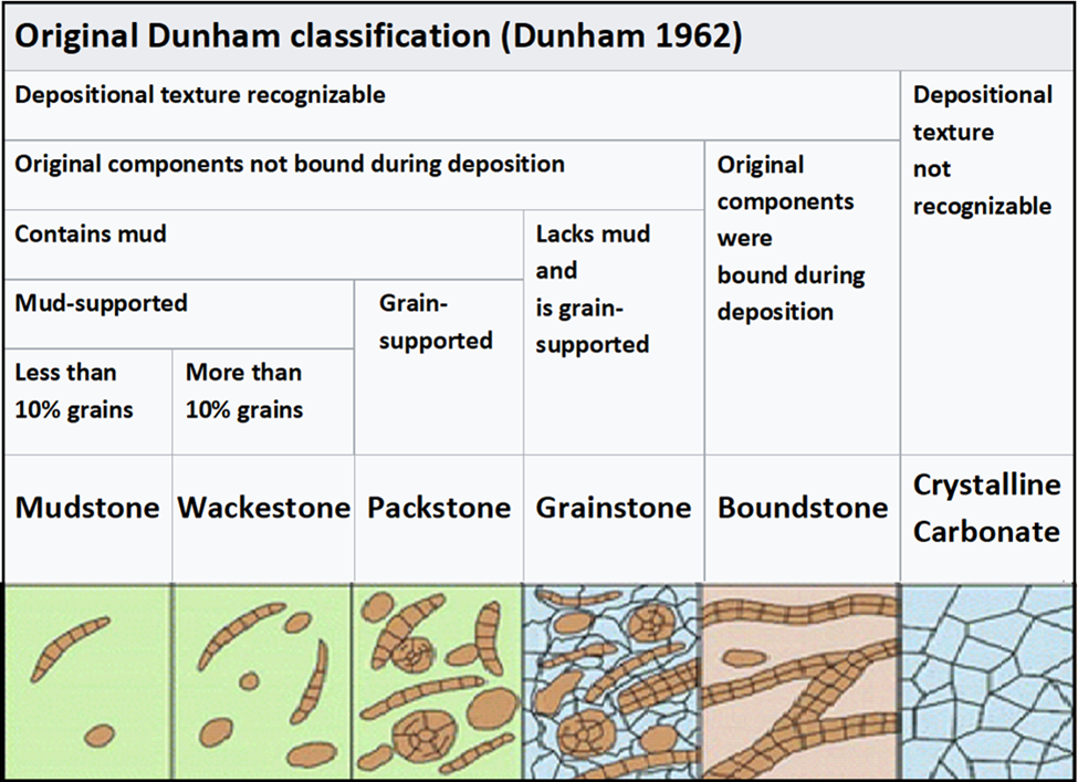 Stratagraph: Dunham Classification for Limestone (Part 1) - SafetyWise ...
